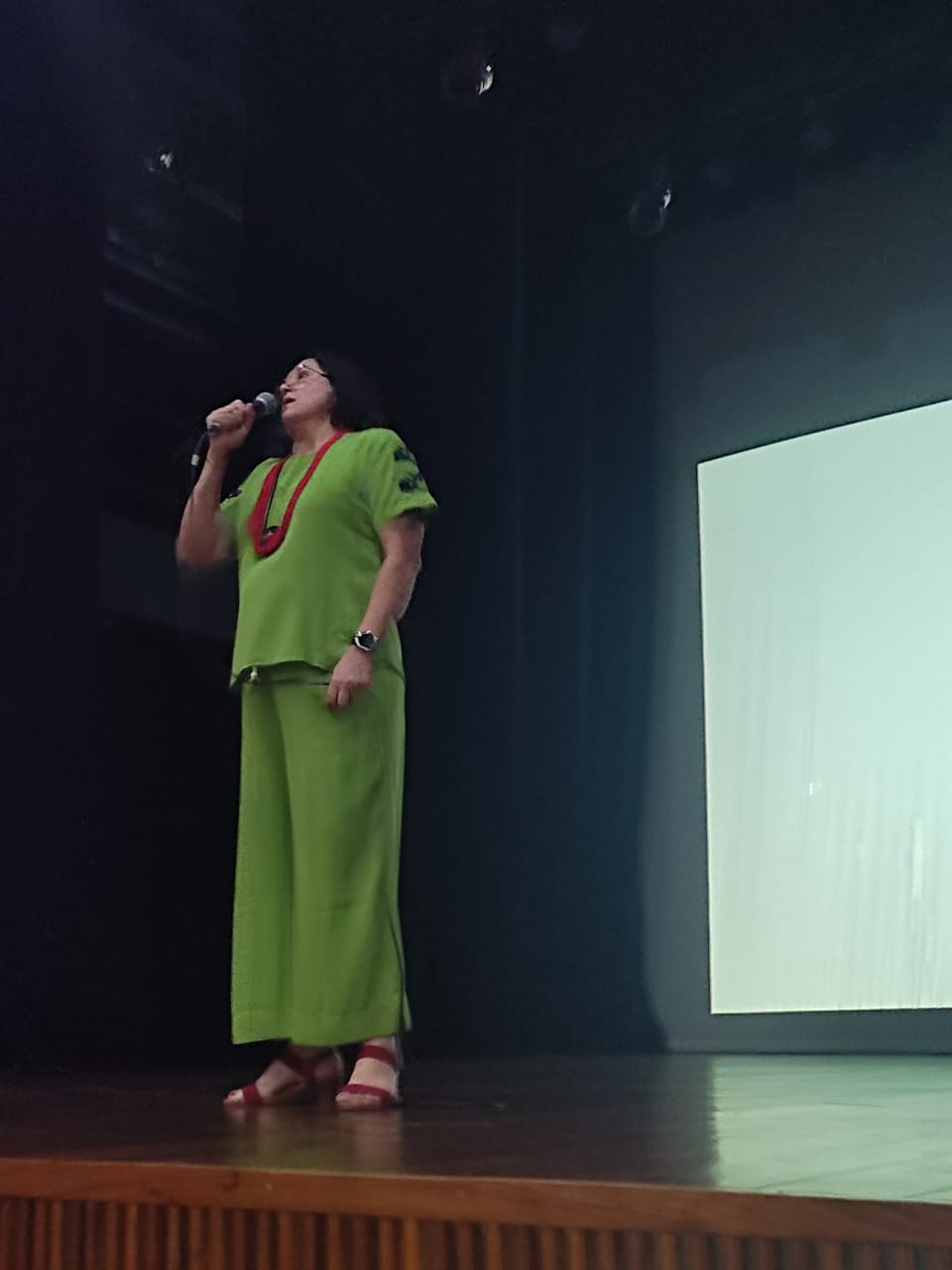 Série animada sobre a infância de Cora Coralina foi lançada na cidade ...